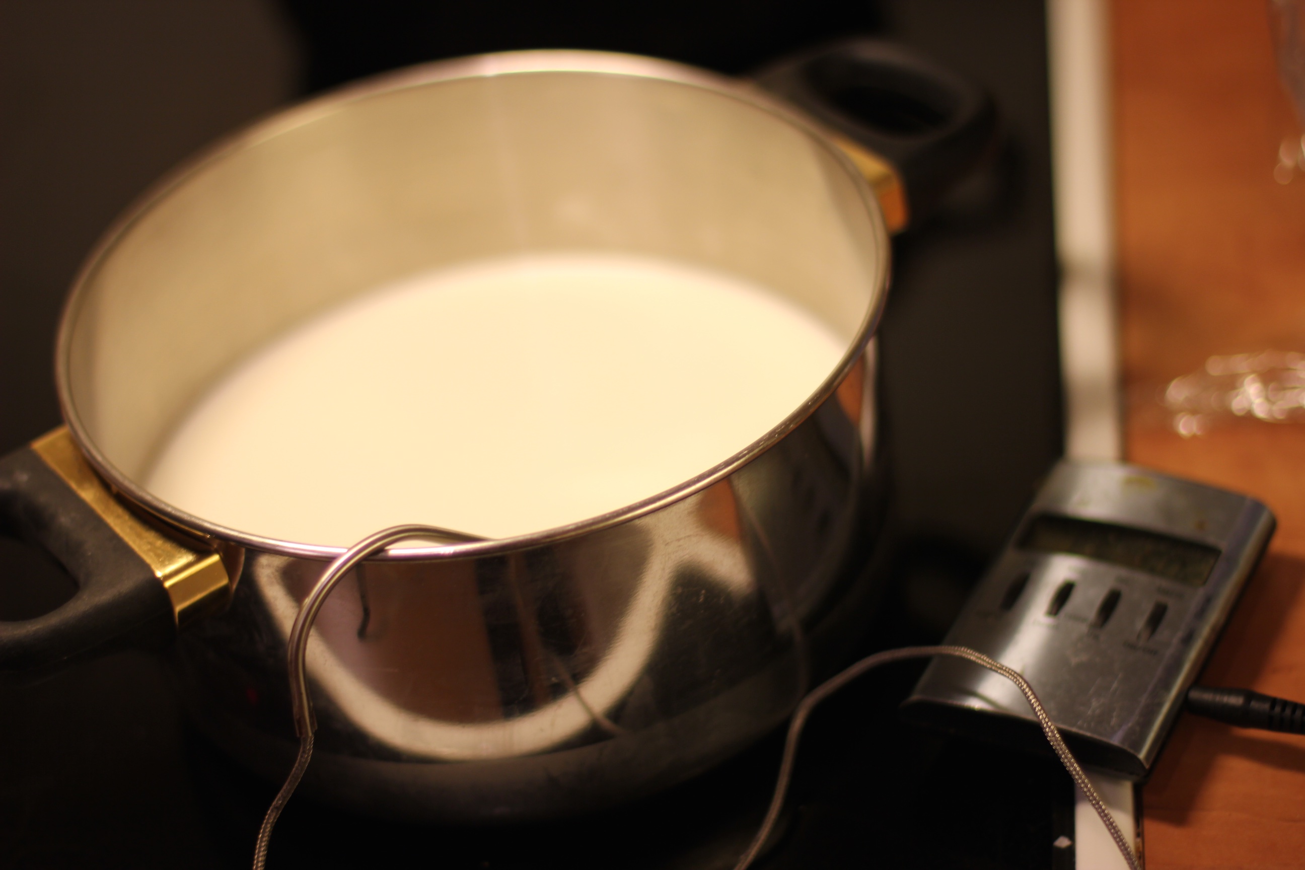 «Fromage facile» – hjemmelaget ost på en halvtime – med helt vanlige ...